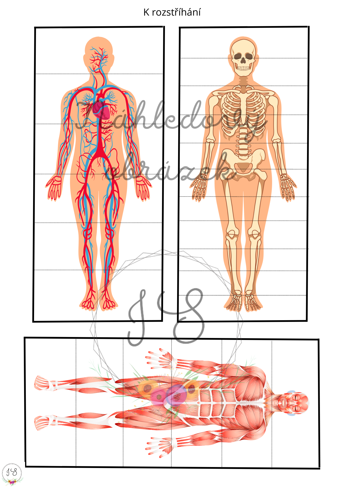 Lidské tělo | Inspirace (nejen) do školky